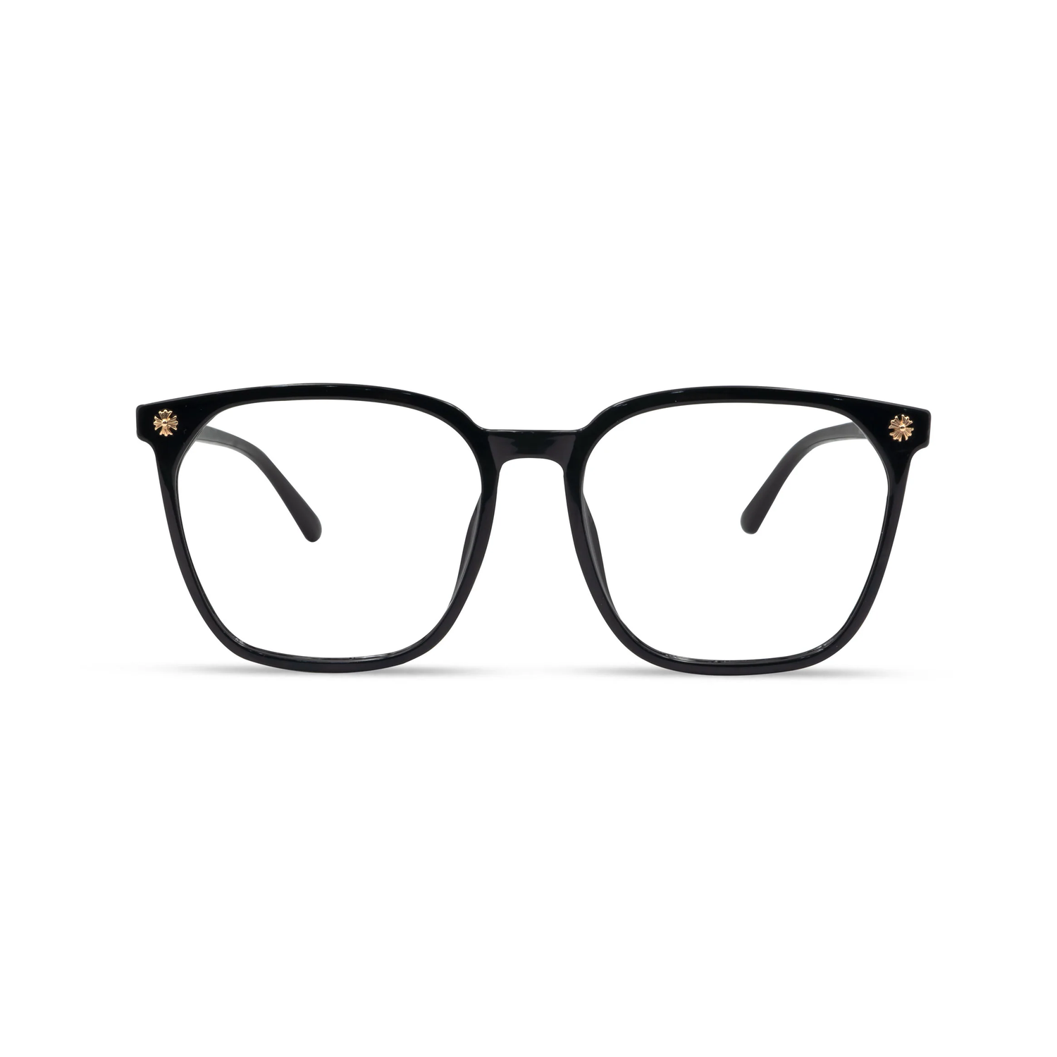 Square Glasses FV101